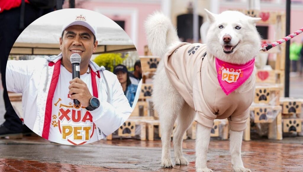 'Liga Xua Pet': En Soacha refuerzan su lucha contra el maltrato animal ...